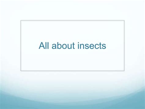Insects Pptx