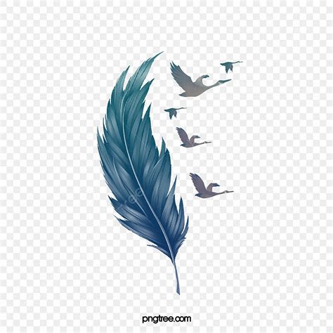 Bird Feather Clip Art