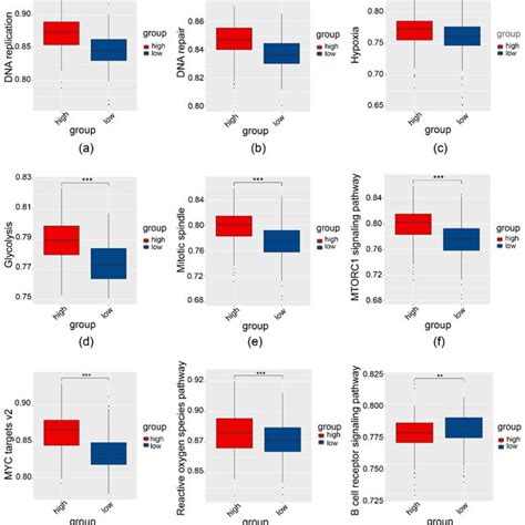 Gene Set Variation Analysis To Compare Key Molecular Features Between Download Scientific