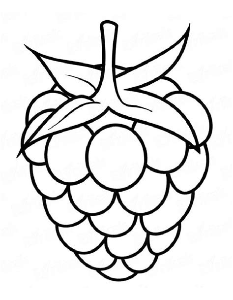 Single Raspberry Picture Coloring Page Free Printable Pdf