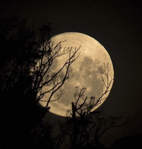 Moon Aesthetic Pfp