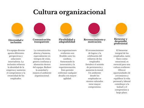 16 Ejemplos De Cultura Organizacional De Empresas Exitosas Nkuth