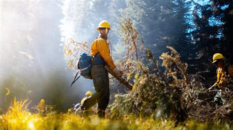 Soldiers Helping Fight Fires Head Home