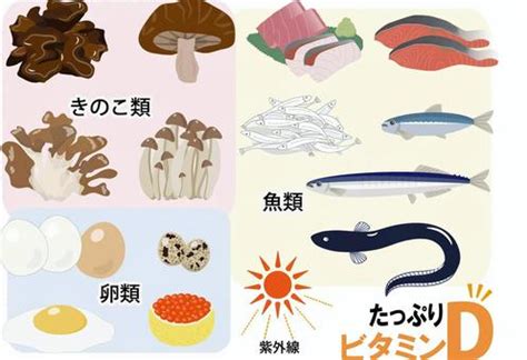 ビタミンdイラスト｜無料イラスト・フリー素材なら「イラストac」