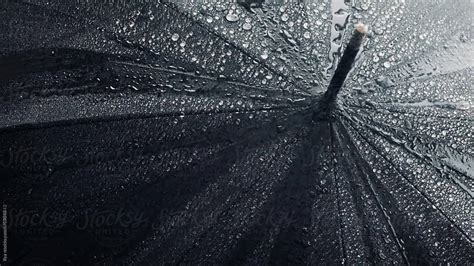 Wet Black Umbrella Water Drop Nature Rain Weather Outdoors By Stocksy