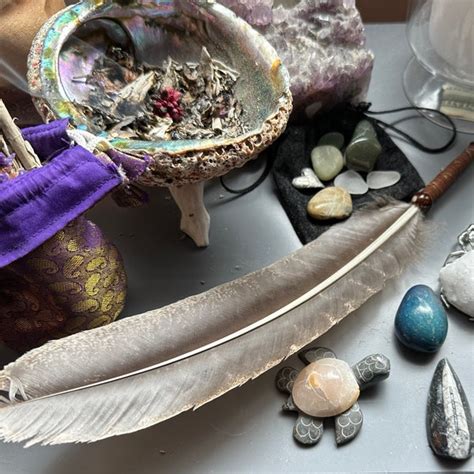 10 12 Turkey Smudge Feather Prayer Ceremonial Spiritual Saging