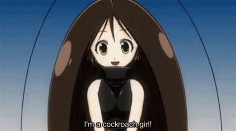 Cockroach Anime  Cockroach Anime Cute Discover And Share S
