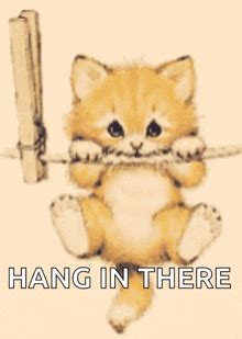 Hang In There Cat Meme S Tenor