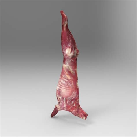 3d Meat Model