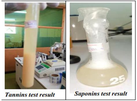 Moderately Positive Test Results From Phytochemical Screening Download Scientific Diagram