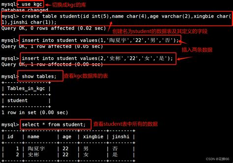 深入理解MySQL备份与恢复策略分类方法与实践 CSDN博客