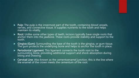 Dental Anatomy Teeth Types And Diff Basic Terminologypptx