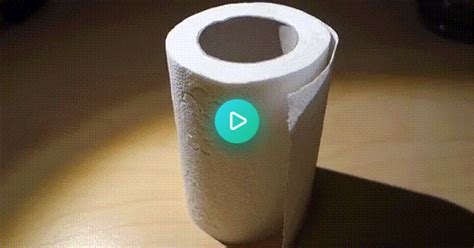 Touching A Roll Of Toilet Paper With A Tuning Fork  On Imgur
