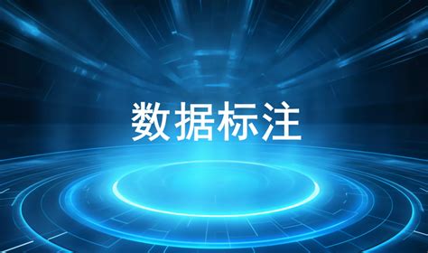 数据标注工程