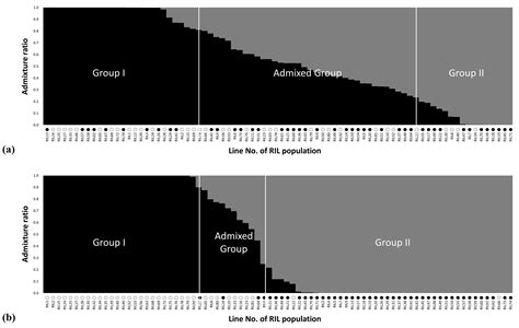 Association Mapping Of Amylose Content In Maize Ril Population Using Ssr And Snp Markers