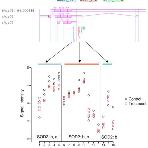 An Example Of Grouping Affymetrix Probes Into New Probe Sets The Top