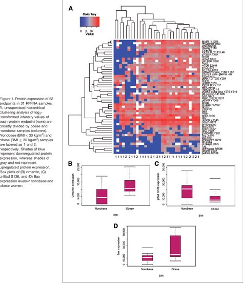 Figure 1 From Protein Microarray Analysis Of Mammary Epithelial Cells From Obese And Nonobese