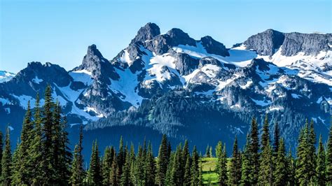 Indija Kašmir In Ladak Agencija Oskar