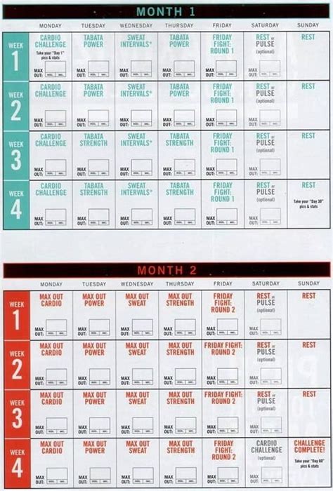 Insanity Diet Plan Recipes