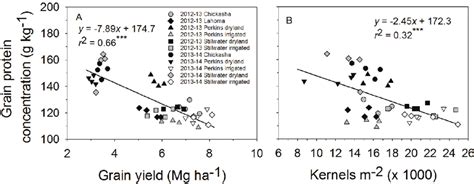 Grain Protein Concentration As Function Of A Grain Yield And B