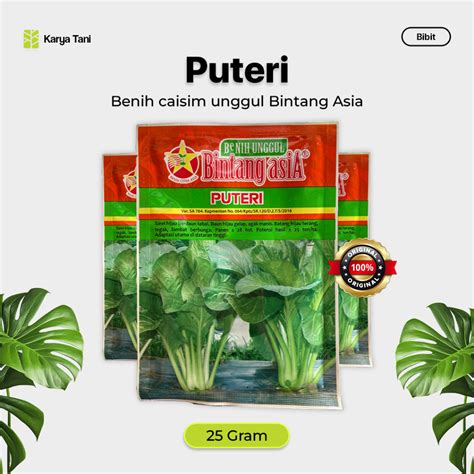 Jual Benih Sawi Hijau Caisim Puteri 25 Gram Bintang Asia Shopee