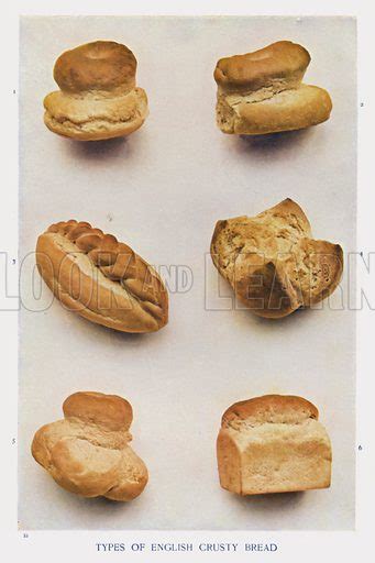 Types Of Crusty Bread With Pictures