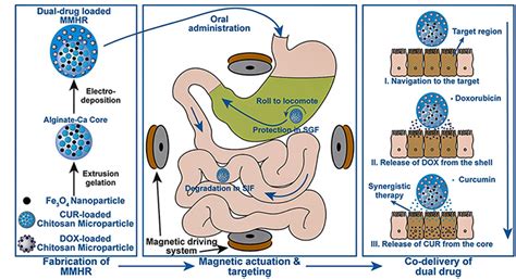 Custom Magnetic Sa Hydrogel Particle Synthesis And Drug Encapsulation