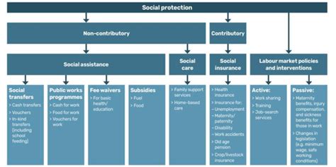 Taxonomy Of Social Protection Instruments Download Scientific Diagram