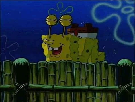 Pin Oleh Sofia Courtney Di Bob Esponja Animasi