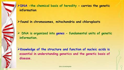 Nucleic Acid Structure Ppsx