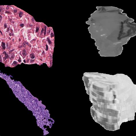 Model Architectures For Different Multimodal Learning Frameworks From