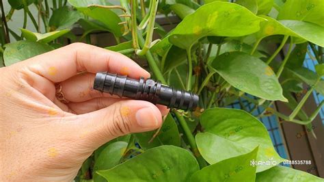 Ph Ki N K T N I Th Ng Ng Pe Mm Sc Anbio Vn Agriculture Natural Biotechnology