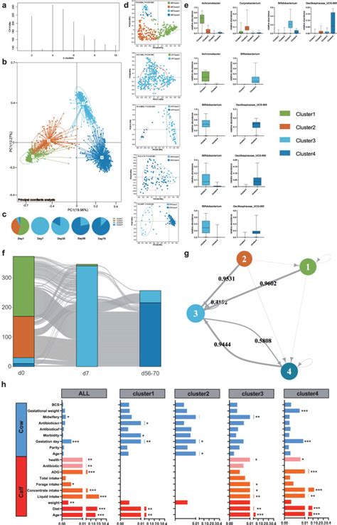 The Bifidobacterium Dominated Fecal Microbiome In Dairy Calves Shapes