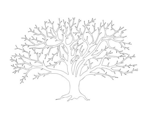 Tree Drawing Outline