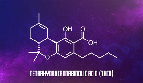Thca Vs Delta 9 An In Depth Analysis Moonwlkr