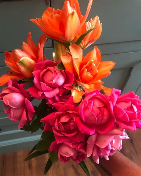 Kasha Maries No Filter Needed For These Beautiful Flowers These Will Be Going In 12