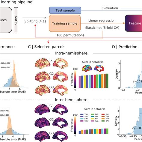 Autism Traits And Functional Asymmetry A Machine Learning Pipeline Download Scientific