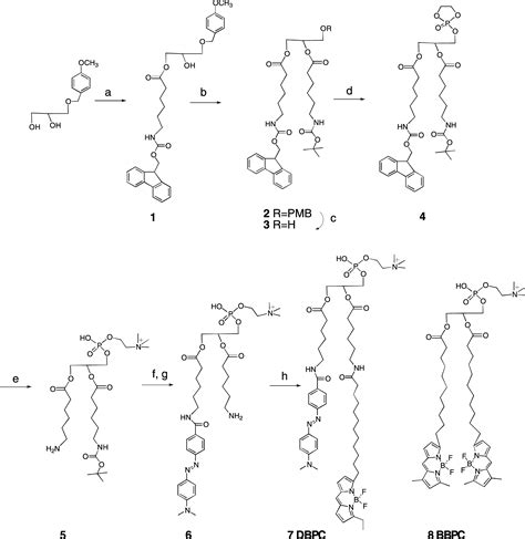 A Real Time Fluorogenic Phospholipase A2 Assay For Biochemical And