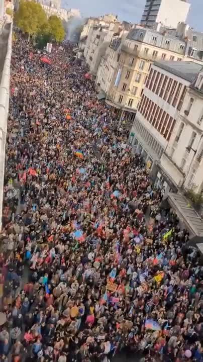 Mrs Susan Pavan M Ajourn On Linkedin Macron 270 Comments