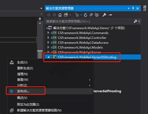 Demo开发环境配置 CSFramework WebApi后端开发框架 开发框架文库