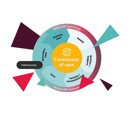 Continuum Of Care The Access Group