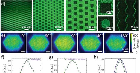 Fabrication Of 3d Oriented Mof Micropatterns With Anisotropic