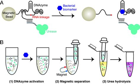 Colorimetric Method Detection At Leroy Gonzales Blog