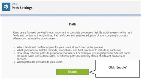 Path Set Up Path In Salesforce Lightning Experience Sfdc Penguin