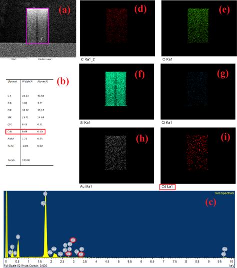 Bjnano Ultrasensitive Detection Of Cadmium Ions Using A Microcantilever Based Piezoresistive
