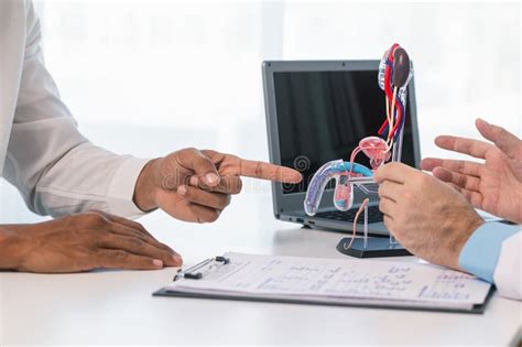 Doctors Are Counseling Prostate Cancer Patients And Using Model Of The