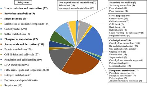 Pie Diagram Showing The Genes Of Chryseobacterium Cucumeris Pch239