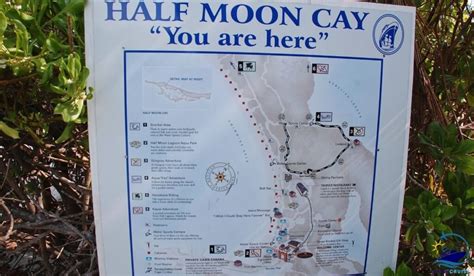 20 Best Things To Do In Half Moon Cay Bahamas In 2026