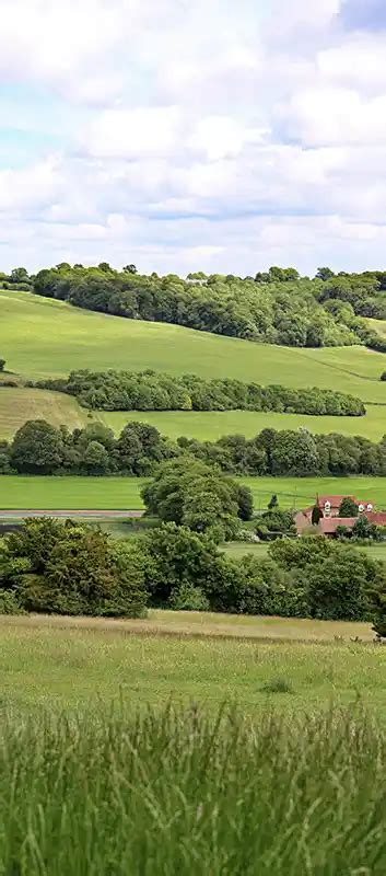 Landscape And Visual Impact Assessment Services In Essex Lvia