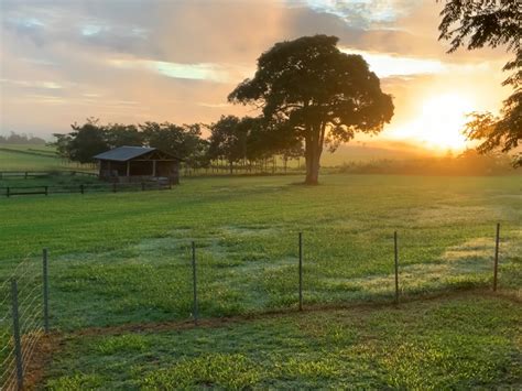 Dunkleys Place Aminjarrinja